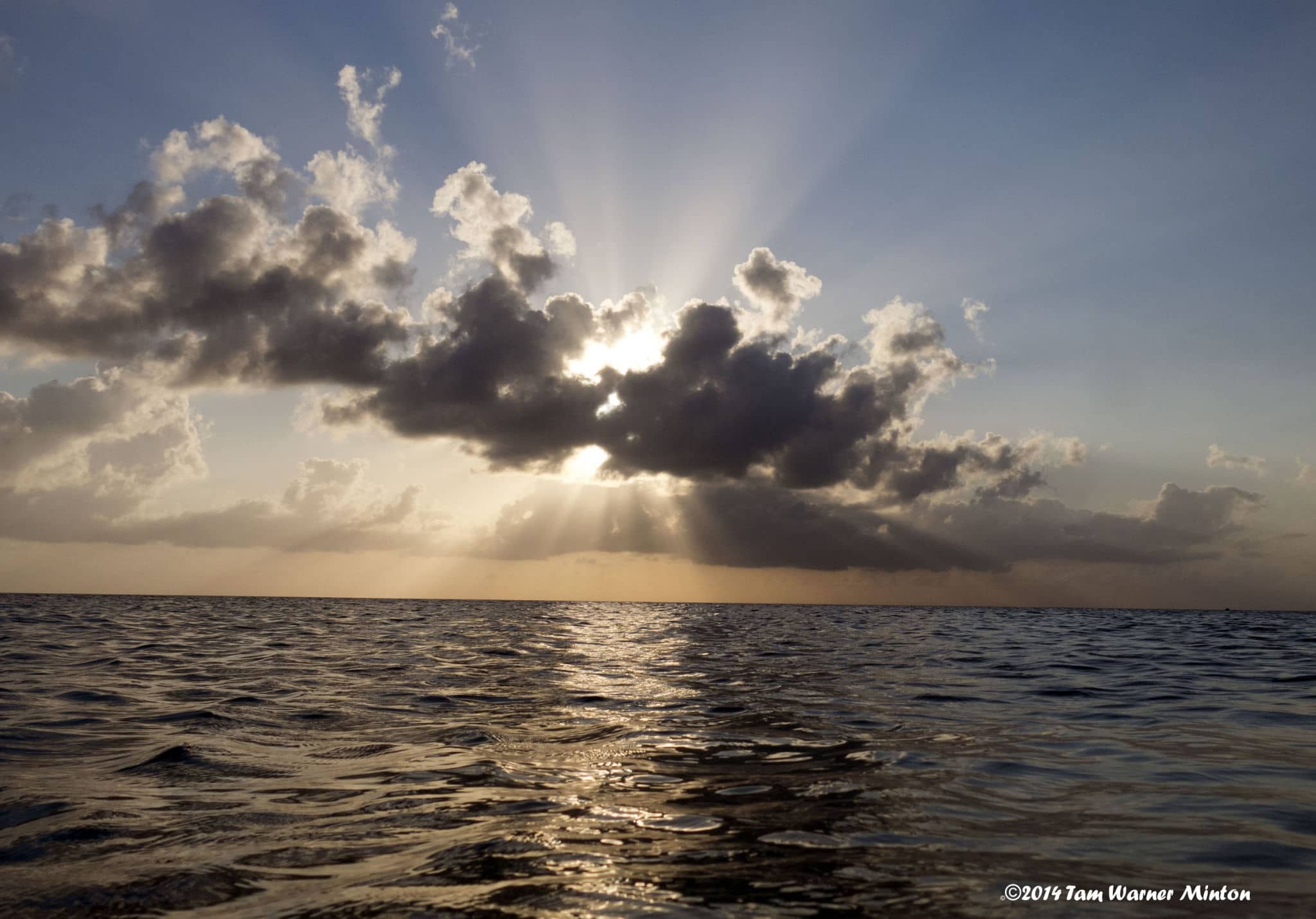 5 Ways You Can Really Save Our Oceans | HuffPost Impact