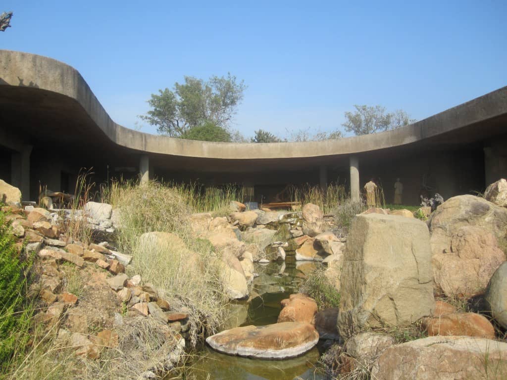 To the Bushveld and Sabi Sabi in Kruger National Park! | TRAVELS WITH TAM