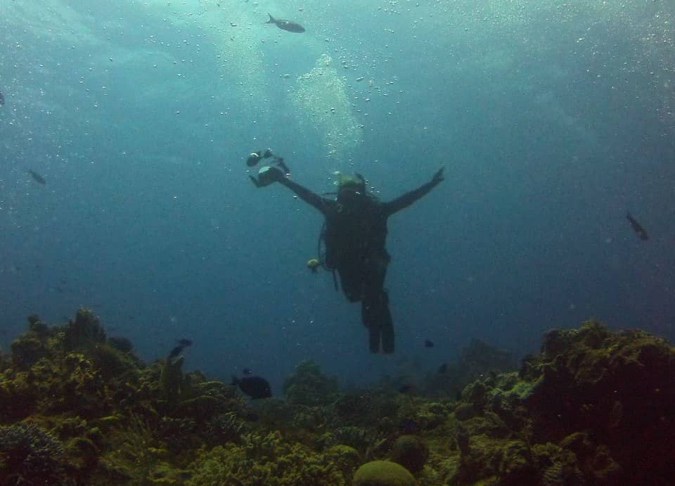4 Outstanding Dive Operators who will Show you the Best of Cozumel Diving!