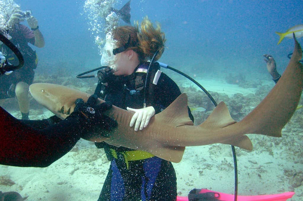 Fab Photos Friday: Shark Week! | TRAVELS WITH TAM