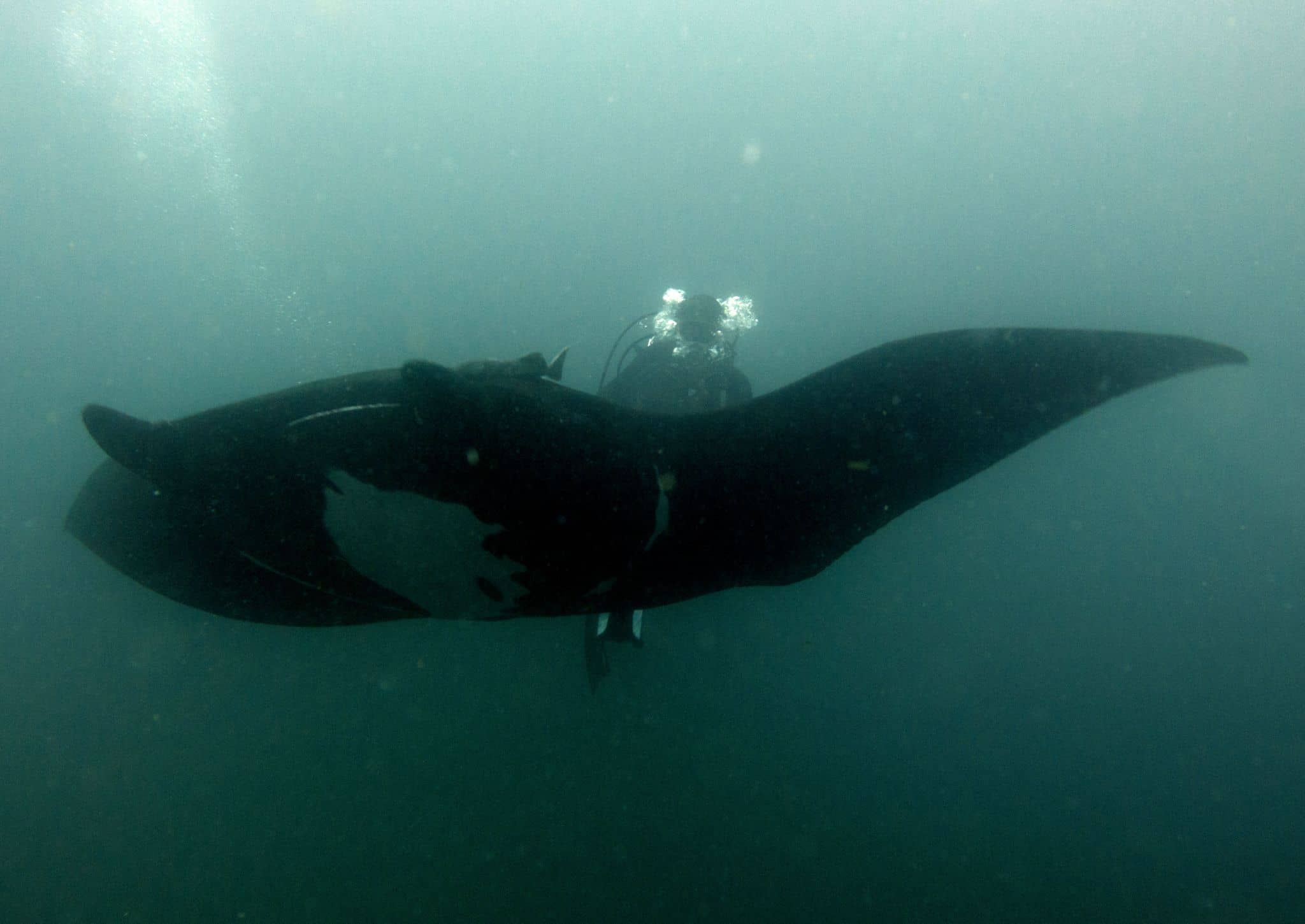 Fabulous Photos Friday: Manta Madness in Ecuador! | TRAVELS WITH TAM