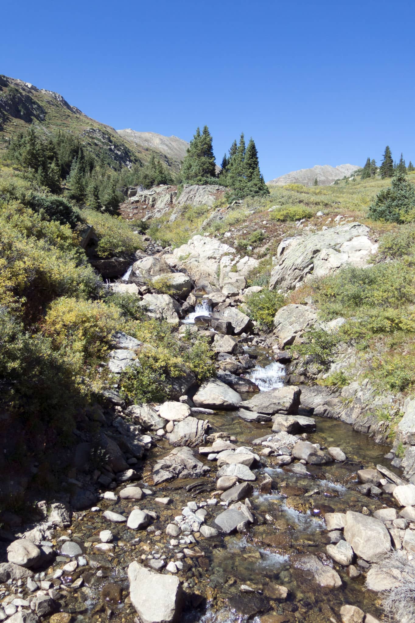 Fab Photos Friday: The Natural Beauty of Aspen, CO | TRAVELS WITH TAM