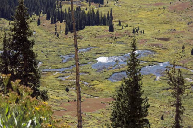 Fab Photos Friday: The Natural Beauty of Aspen, CO | TRAVELS WITH TAM