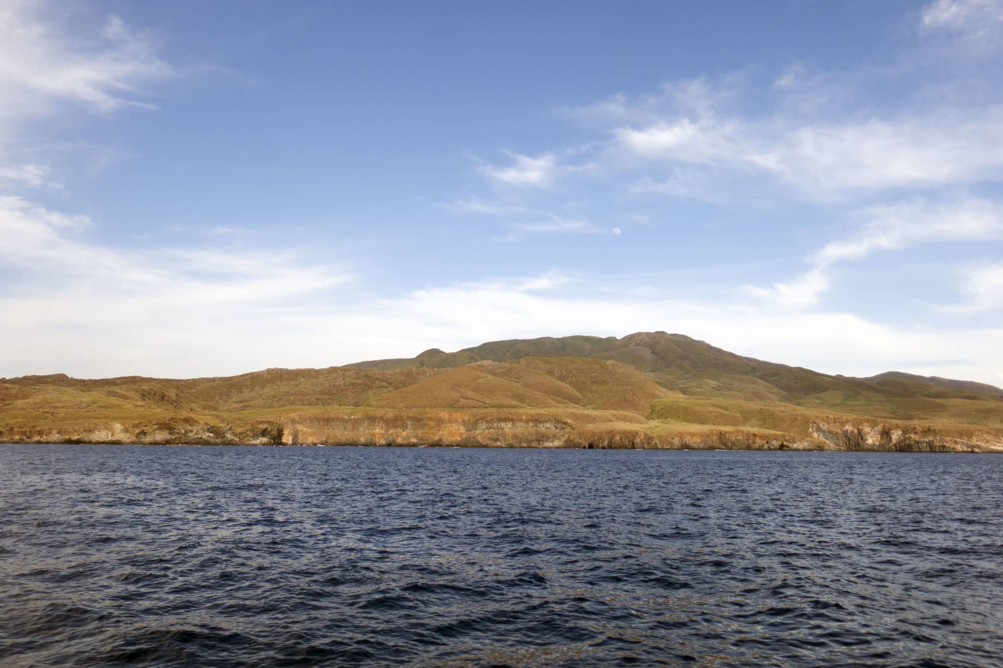 Diving the Revillagigedo Islands: Socorro | TRAVELS WITH TAM