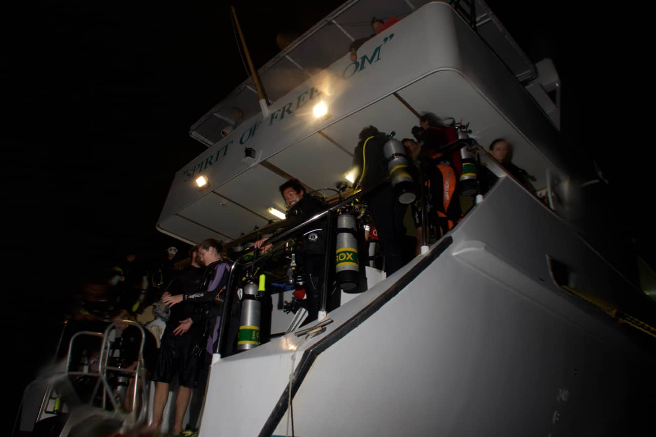 Why I'm Glad I went Diving at Night with Sharks!!!!