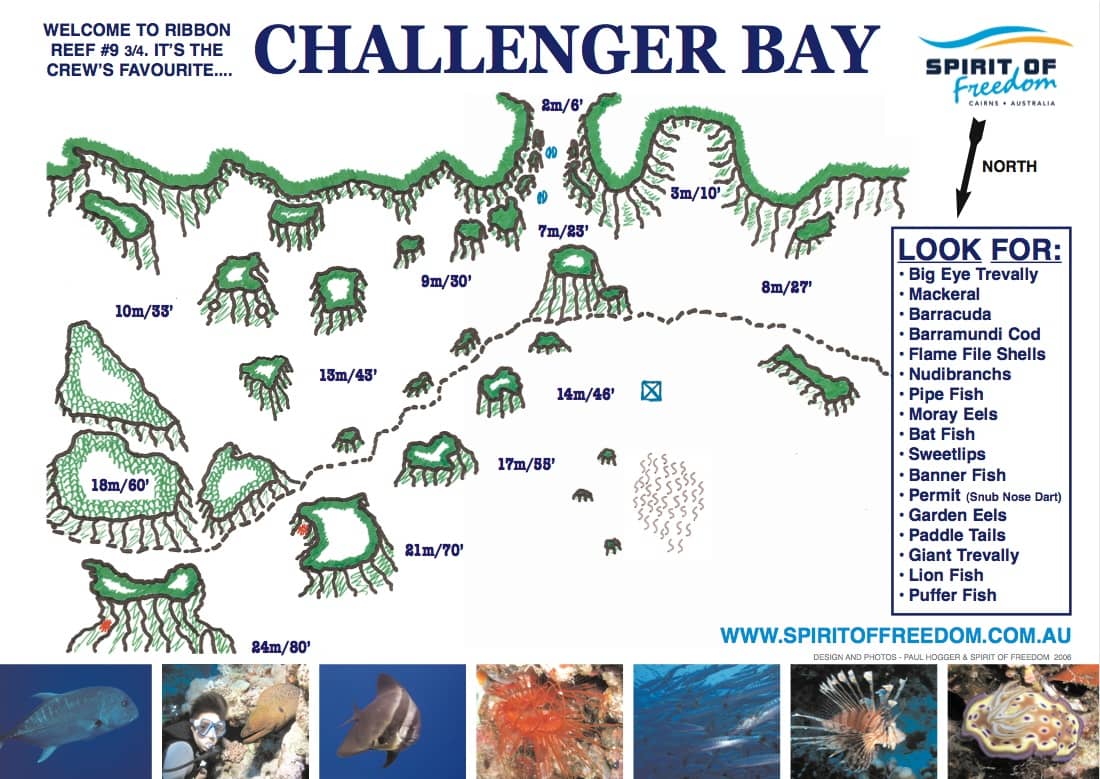 What it is like diving the Ribbon Reefs on the Great Barrier Reef!