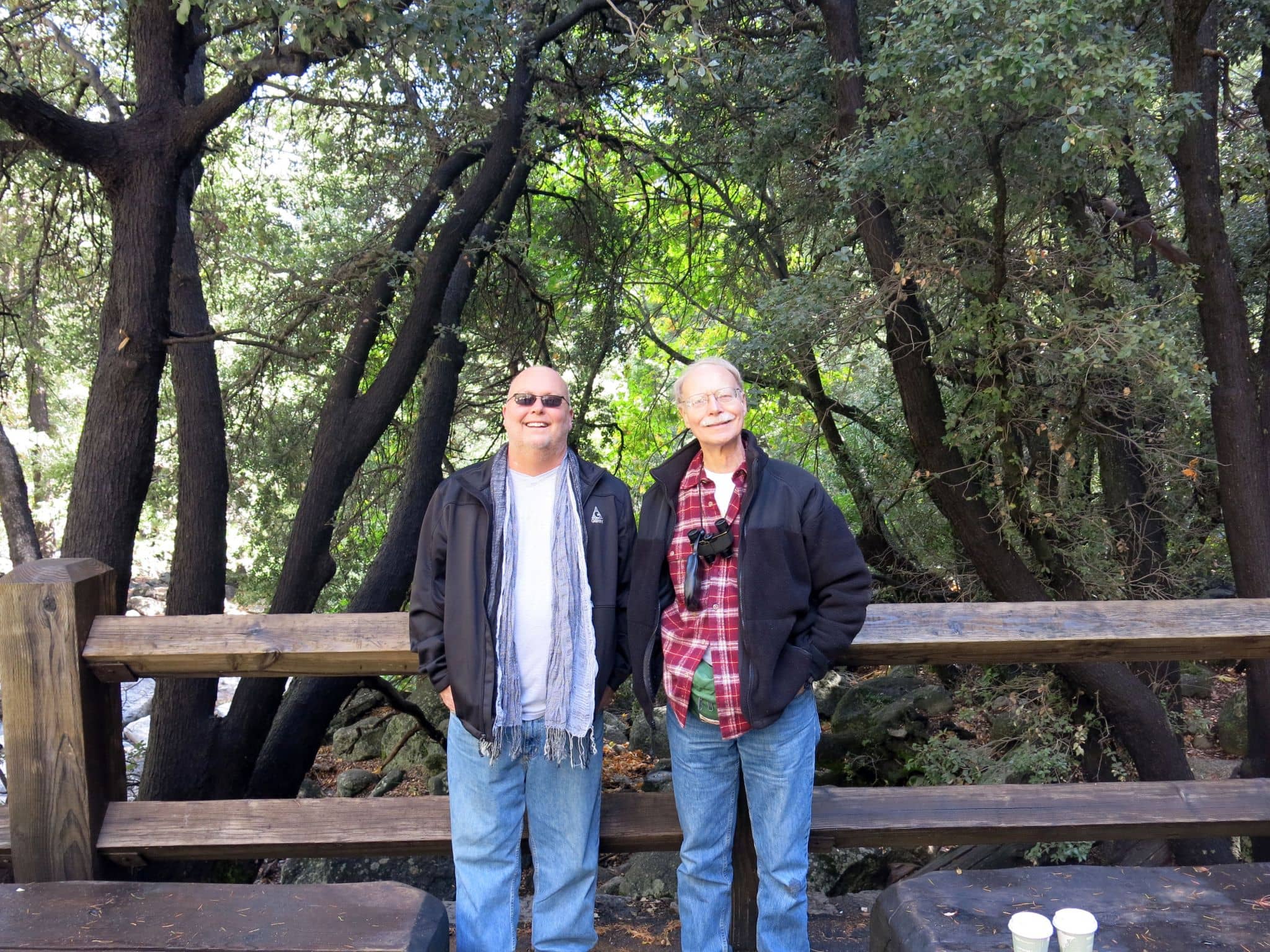 You Must Spend One Glorious Day at Yosemite National Park in the Fall!