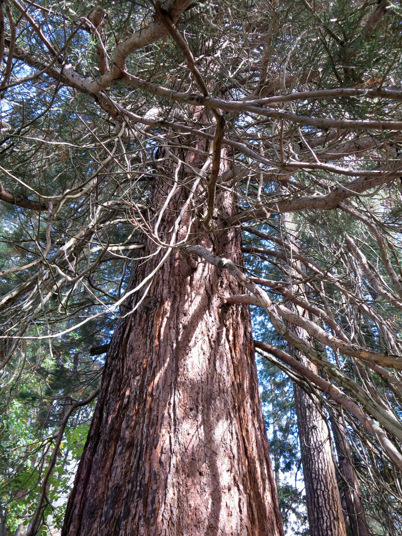 You Must Spend One Glorious Day at Yosemite National Park in the Fall!