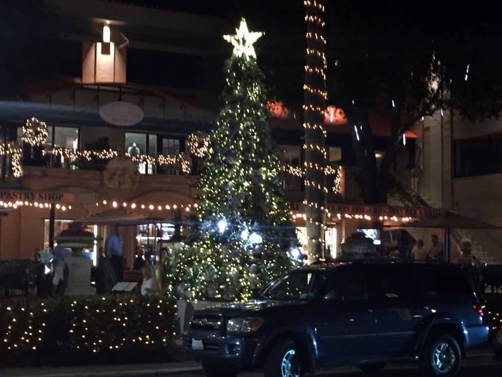 Amazing, but It Snows in Naples Florida every Christmas Season ...