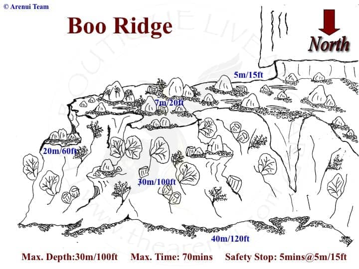 The First Dive Day in Raja Ampat on The Arenui Liveaboard!