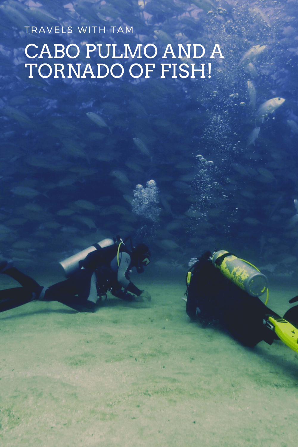 Have you ever seen a Tornado of Fish? It is Amazing! | TRAVELS WITH TAM