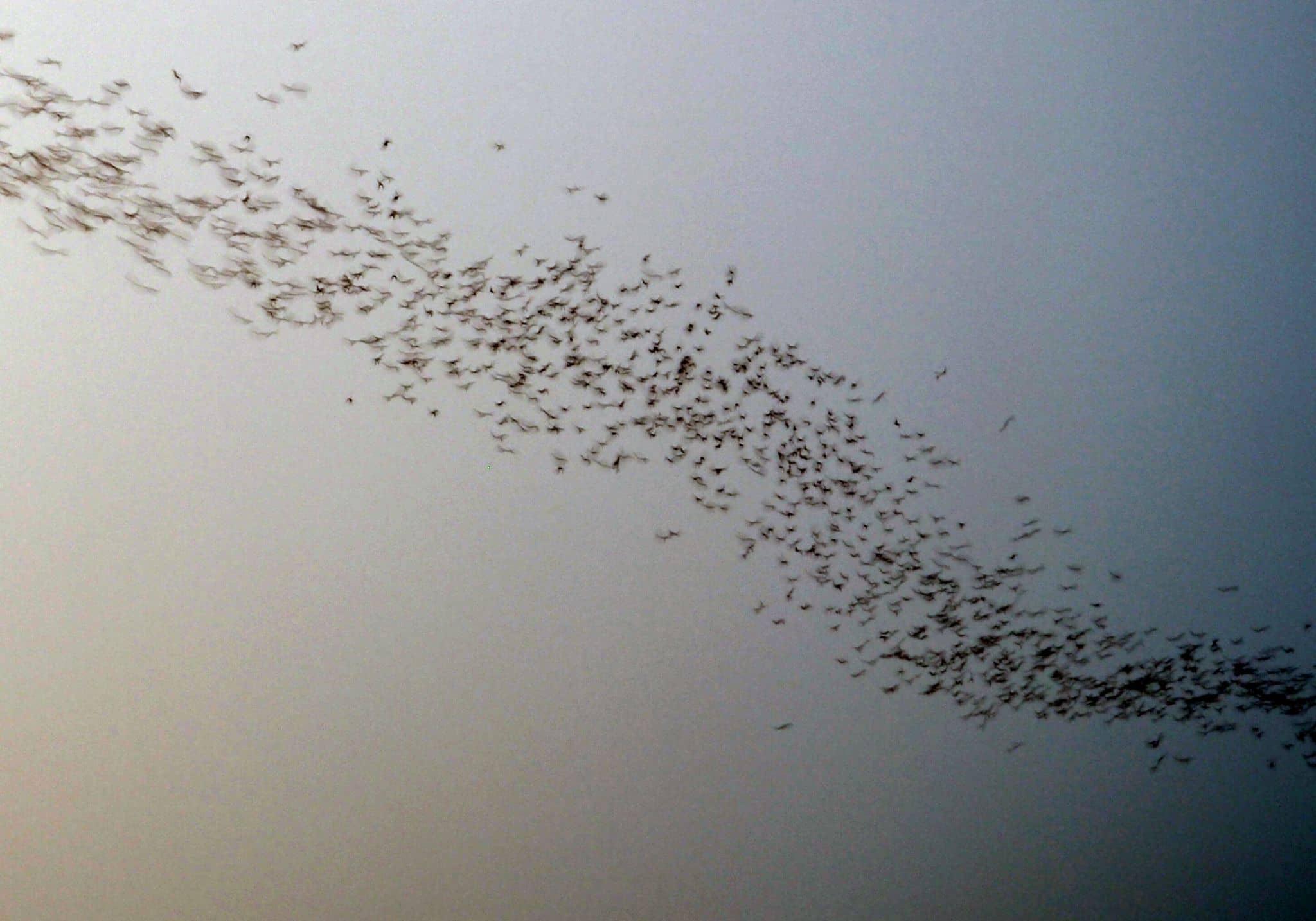 10 Places You Can Go Bat-Shit Crazy in Texas Hill Country! | TRAVELS ...