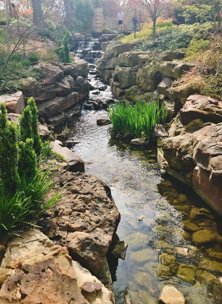 1 Amazing Reason to Visit Dallas in the Springtime! | TRAVELS WITH TAM