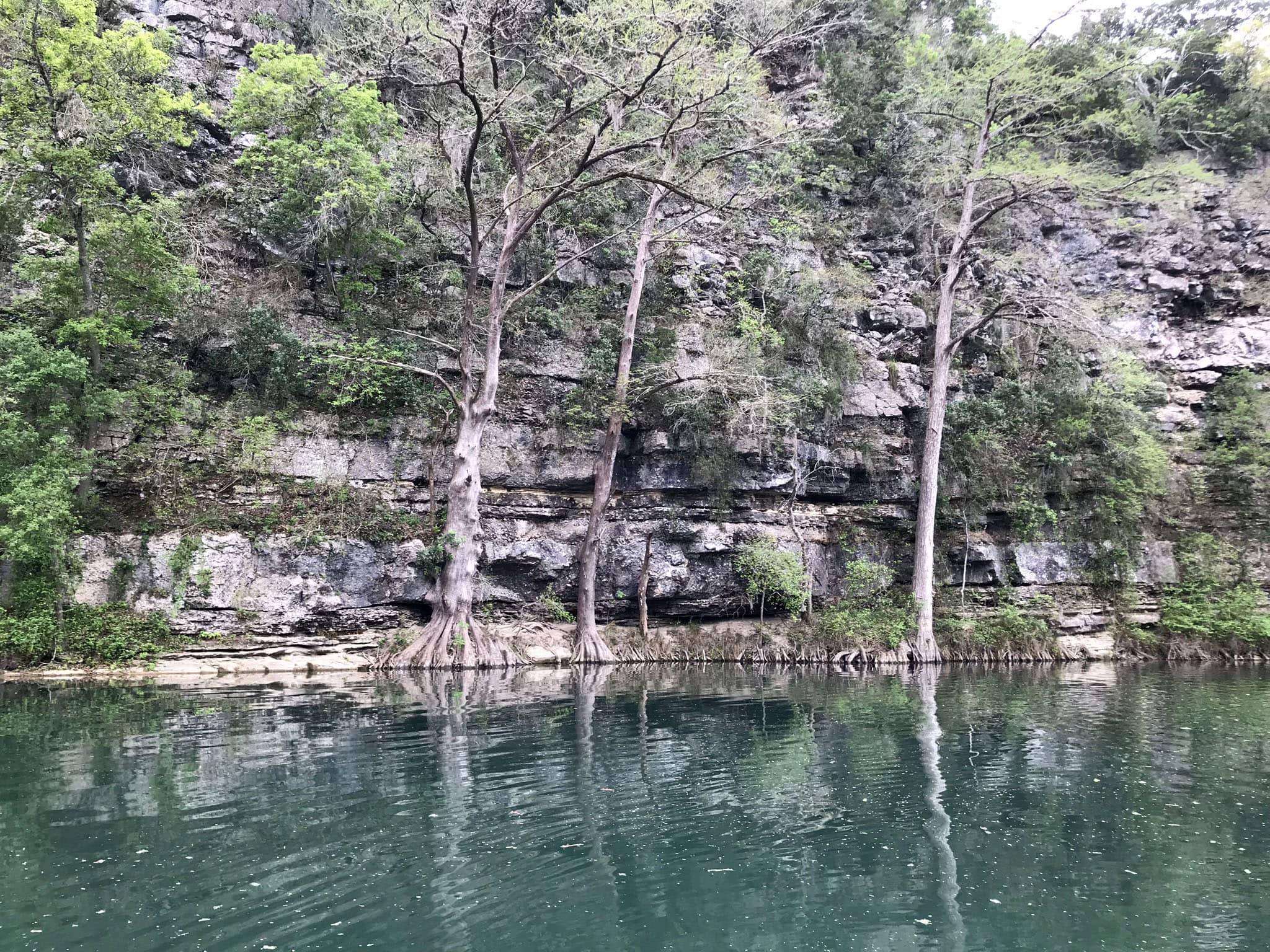 A Beautiful Morning on the Guadelupe River | TRAVELS WITH TAM