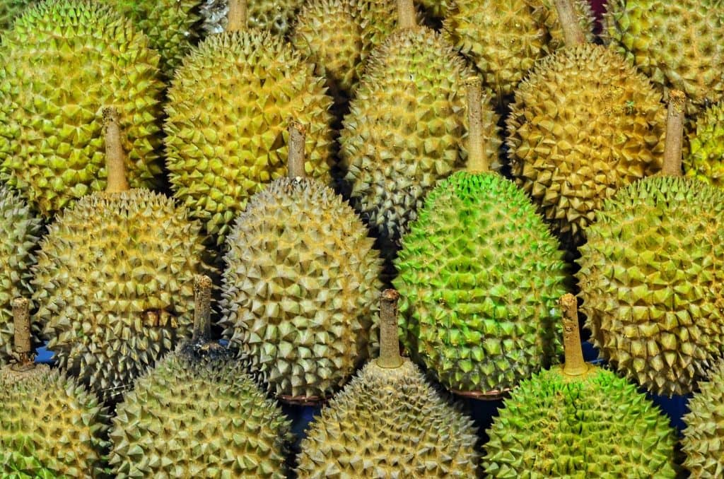 Savoring Jakarta, also known as The Big Durian | TRAVELS WITH TAM