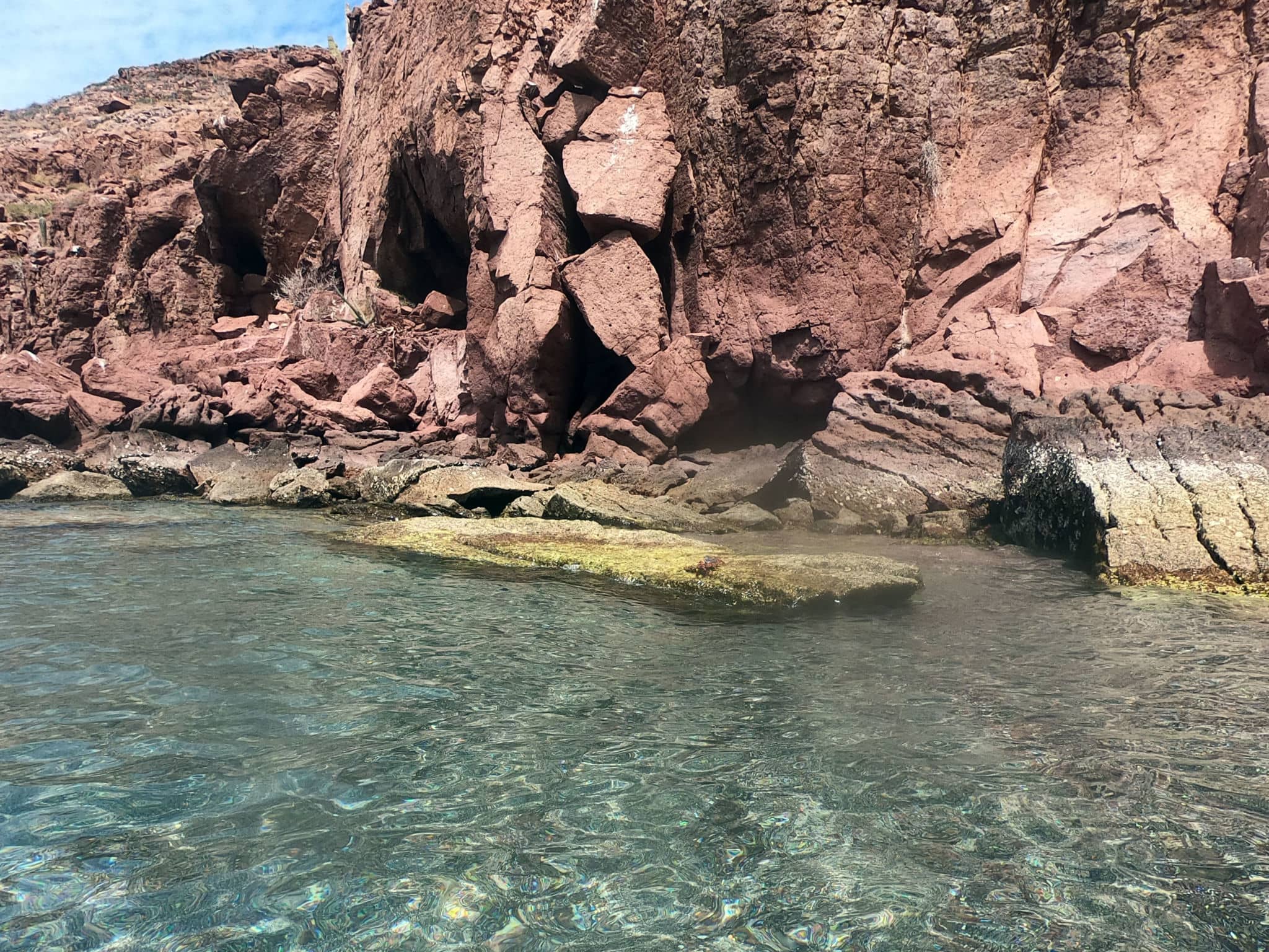 Experience the Wonder of Isla Espiritu Santo and Meet the Sea Lions of ...