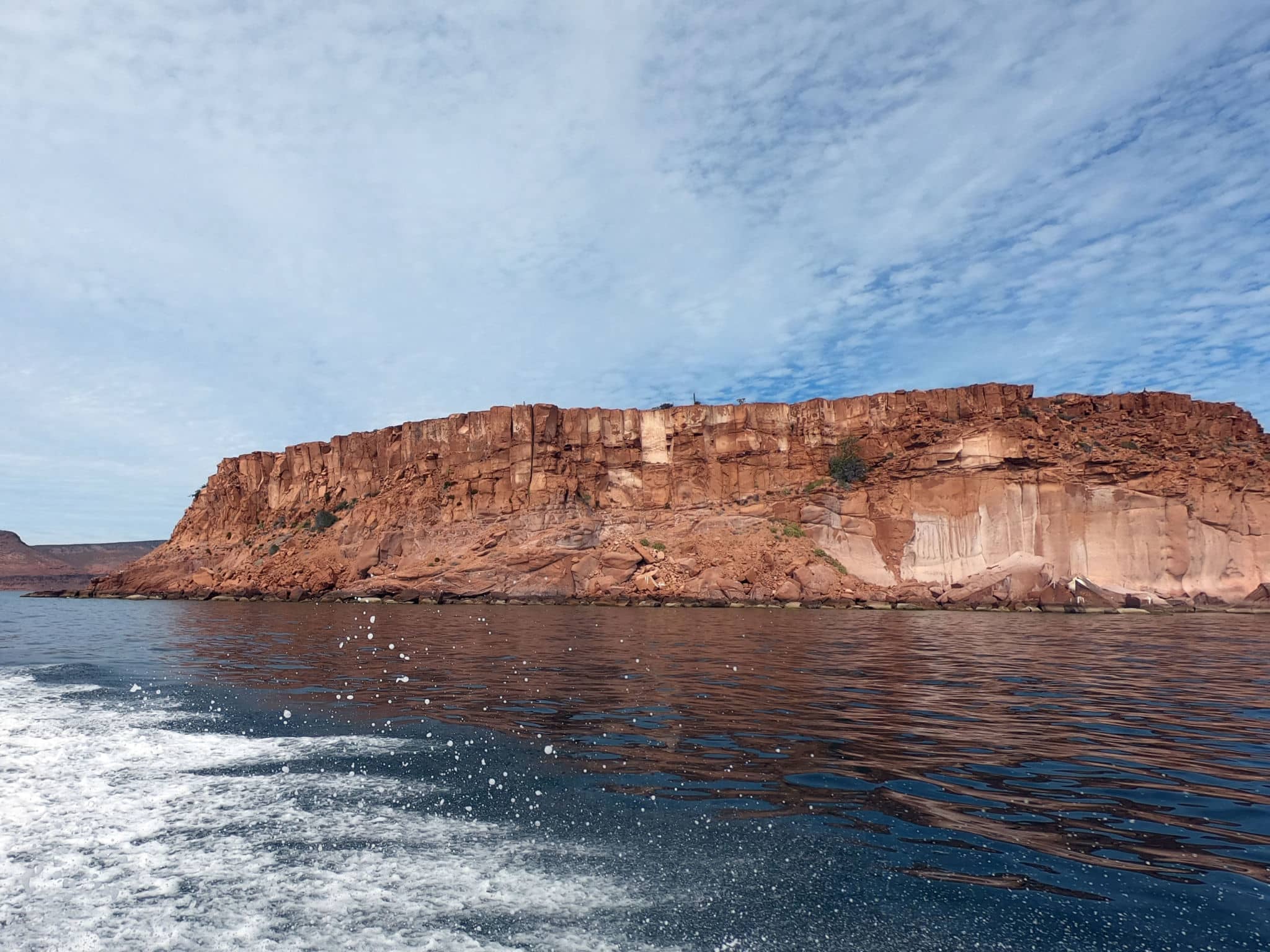 Experience the Wonder of Isla Espiritu Santo and Meet the Sea Lions of ...