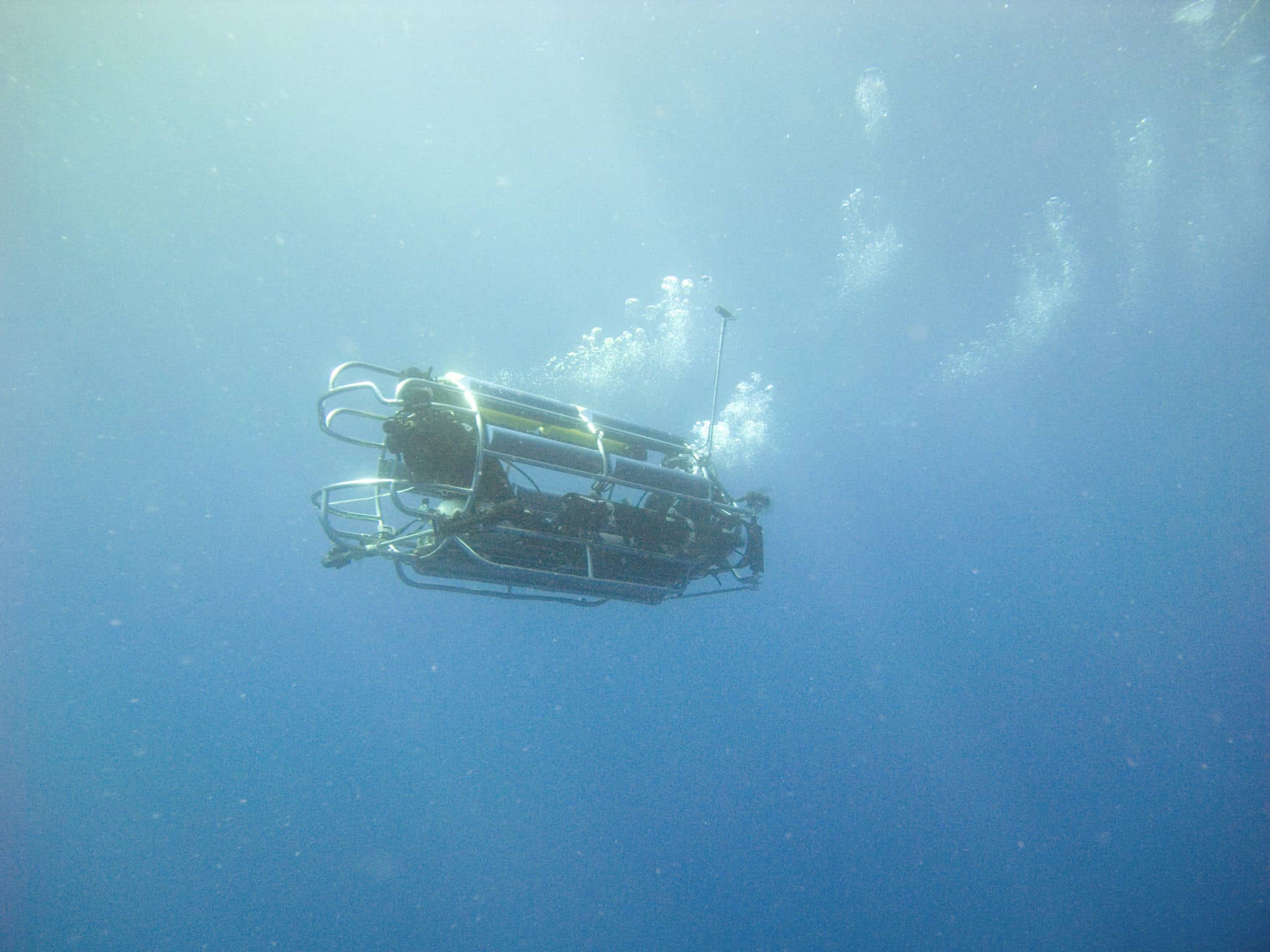 I Had a Close Encounter While Great White Shark Diving in Guadalupe