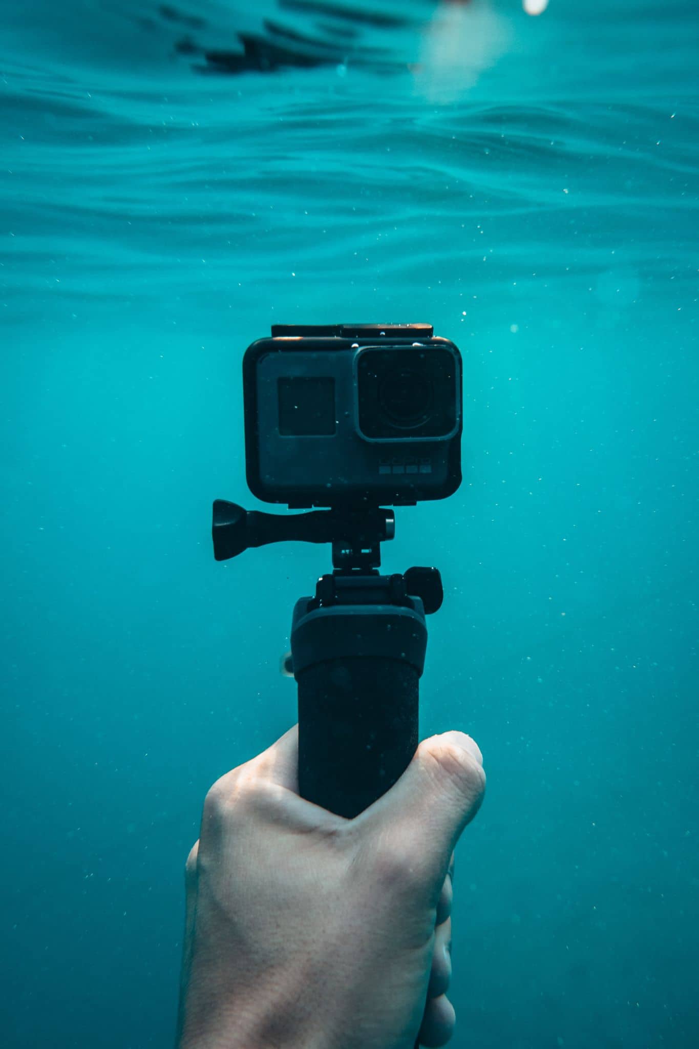 3 Rules that will Help You with Amazing Underwater Photography