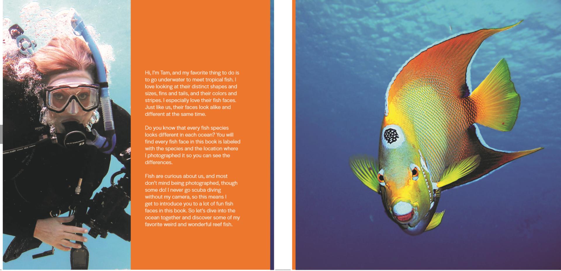 The New 2nd Edition of ALL FISH FACES will publish June 8! | TRAVELS ...