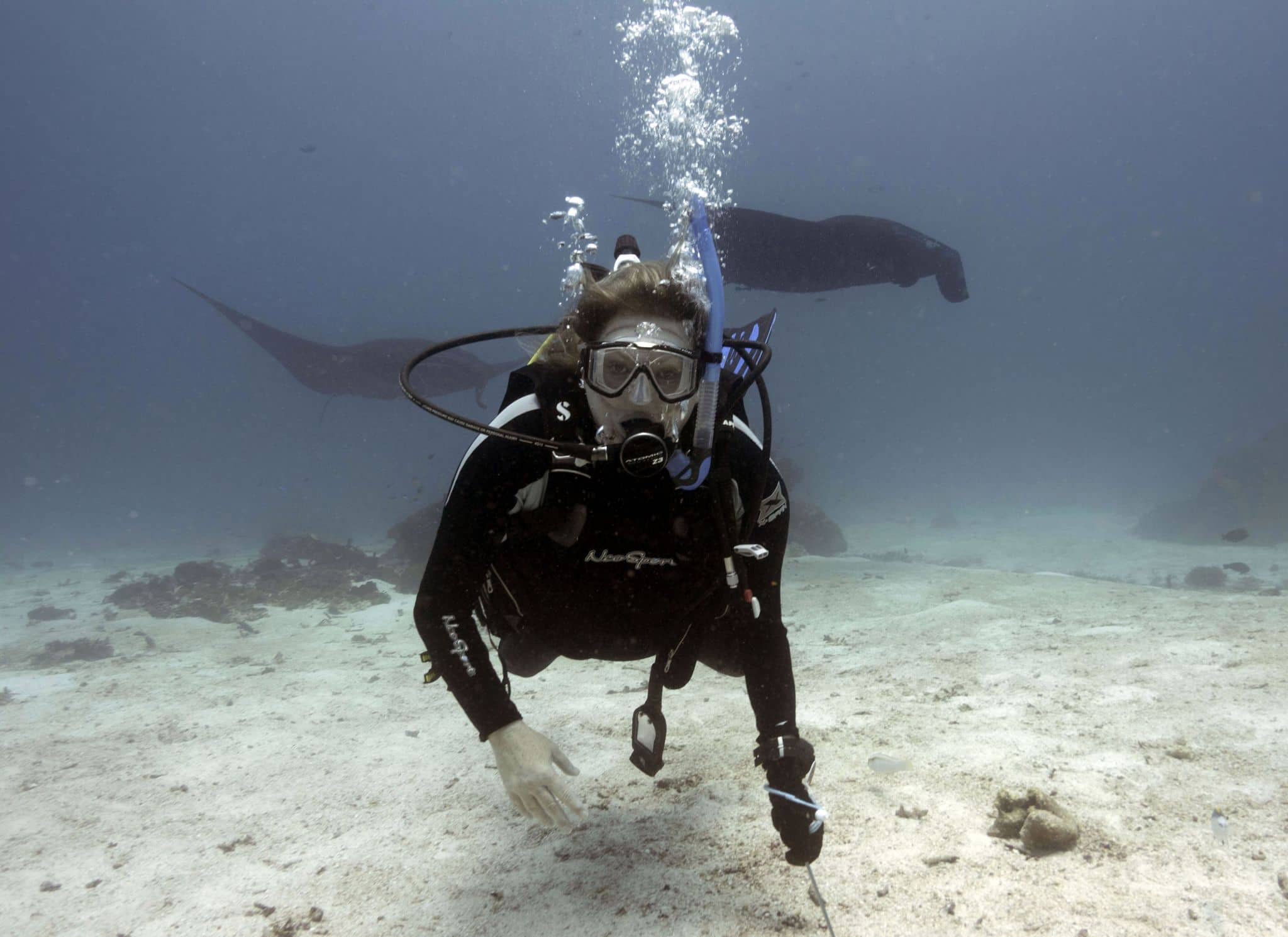 Get Into The Sea! Here are a Few of the Best Places In The World To ...