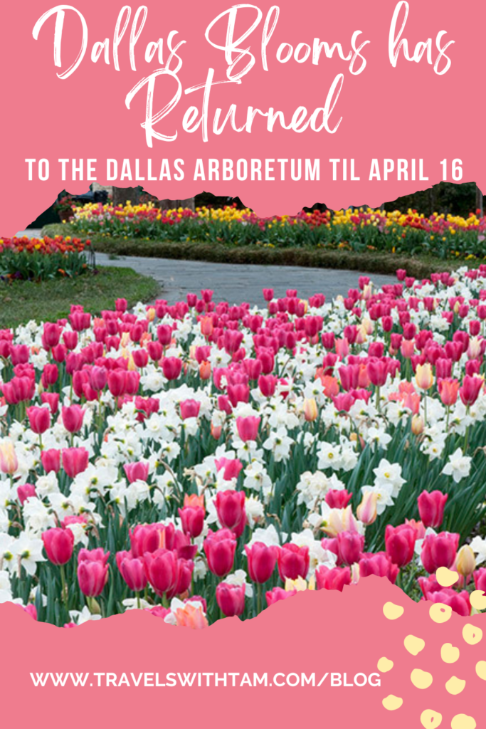 Dallas Blooms has Returned to the Dallas Arboretum until April 16 ...